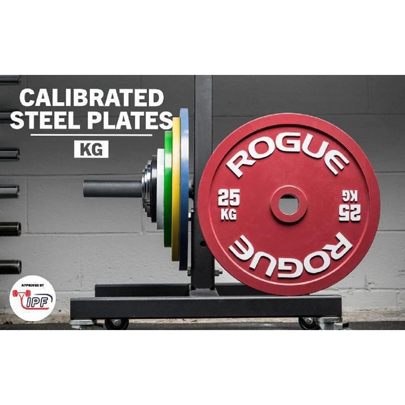 Jual Olympic Bumper ROGUE Plates, Lubang 50mm Hard Rubber Dumbbells ...