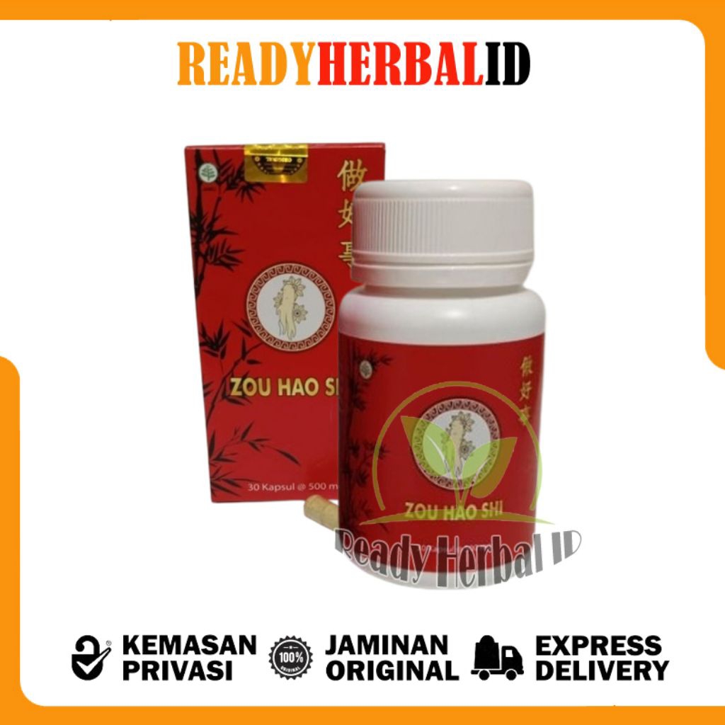 Jual Zuo Hao Shi Original - Obat Herbal Saraf Kejepit - Atasi Nyeri ...