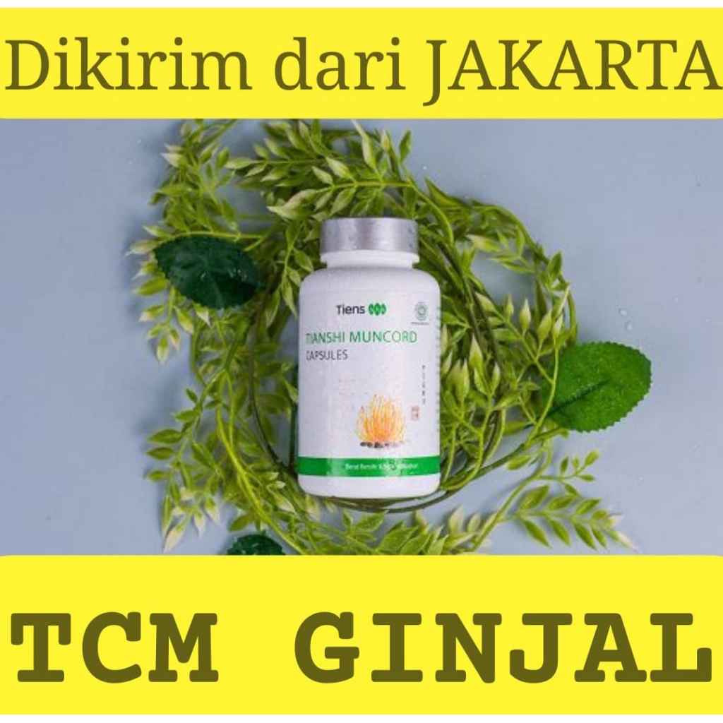 Jual TCM Ginjal Muncord Gangguan Fungsi Ginjal Batu Ginjal Gagal Ginjal ...