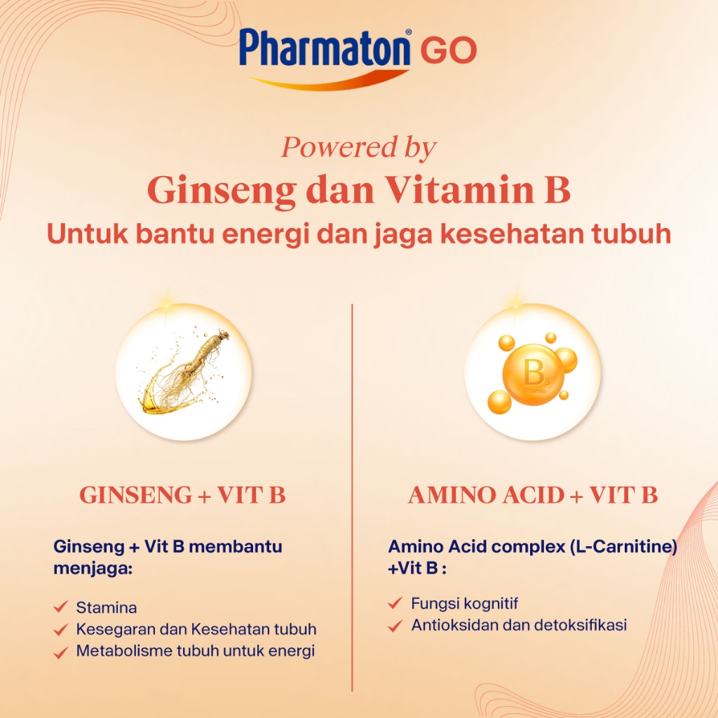 Jual Pharmaton GO 6 Capsules - Multivitamin Tambah Energi dan Daya ...