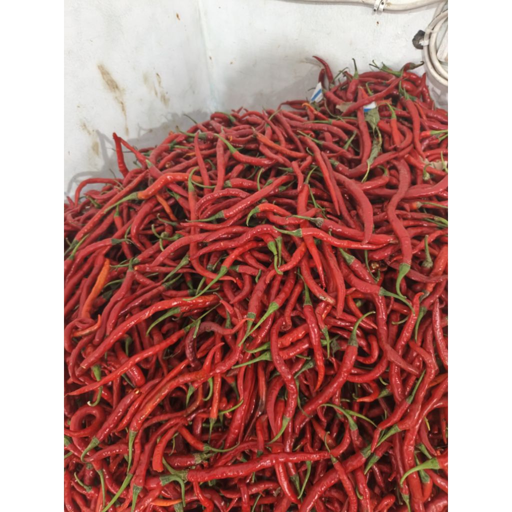 Jual Cabe Merah Kriting 1kg murah meriah | Shopee Indonesia