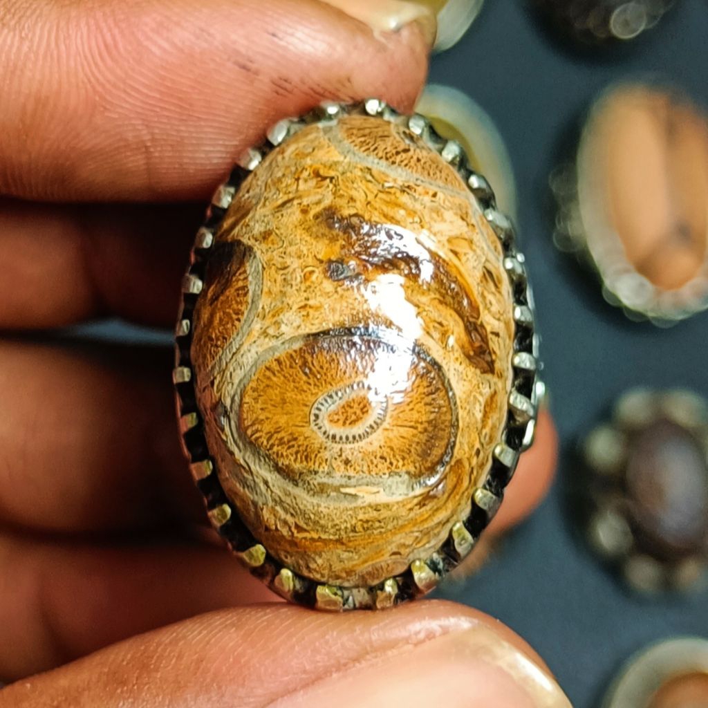 Jual batu akik posill kayu palem lawasan motif mata tembus sampai bawah ...