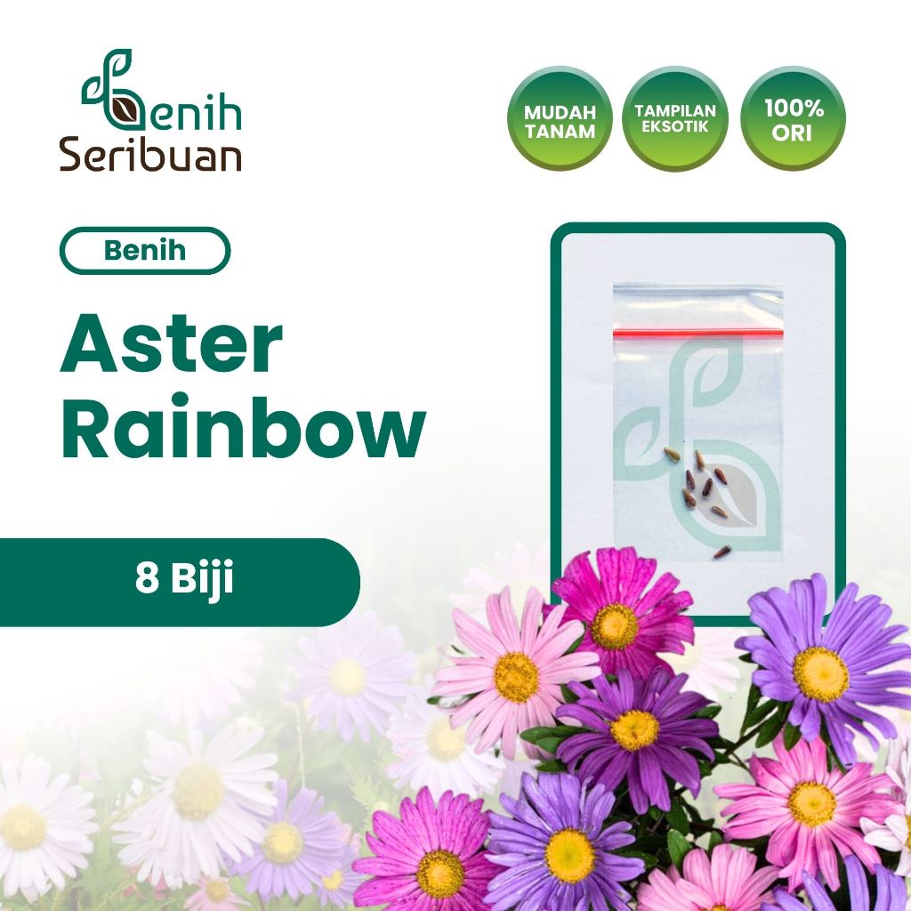 Jual Benih Seribuan - 8 Benih Bunga Aster Rainbow Mix Unggul | Shopee Indonesia