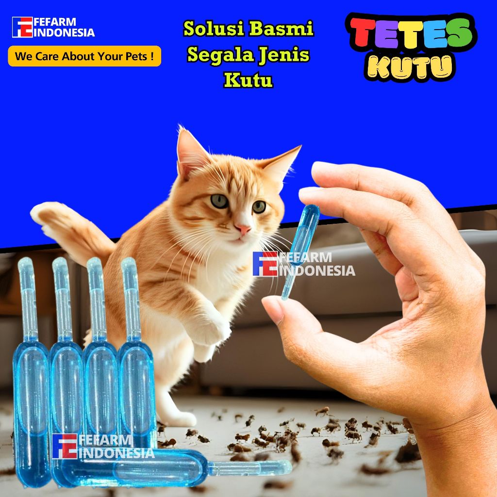 Jual Obat Tetes Anti Kutu Pinjal Anjing Kucing FEFARM | Shopee Indonesia