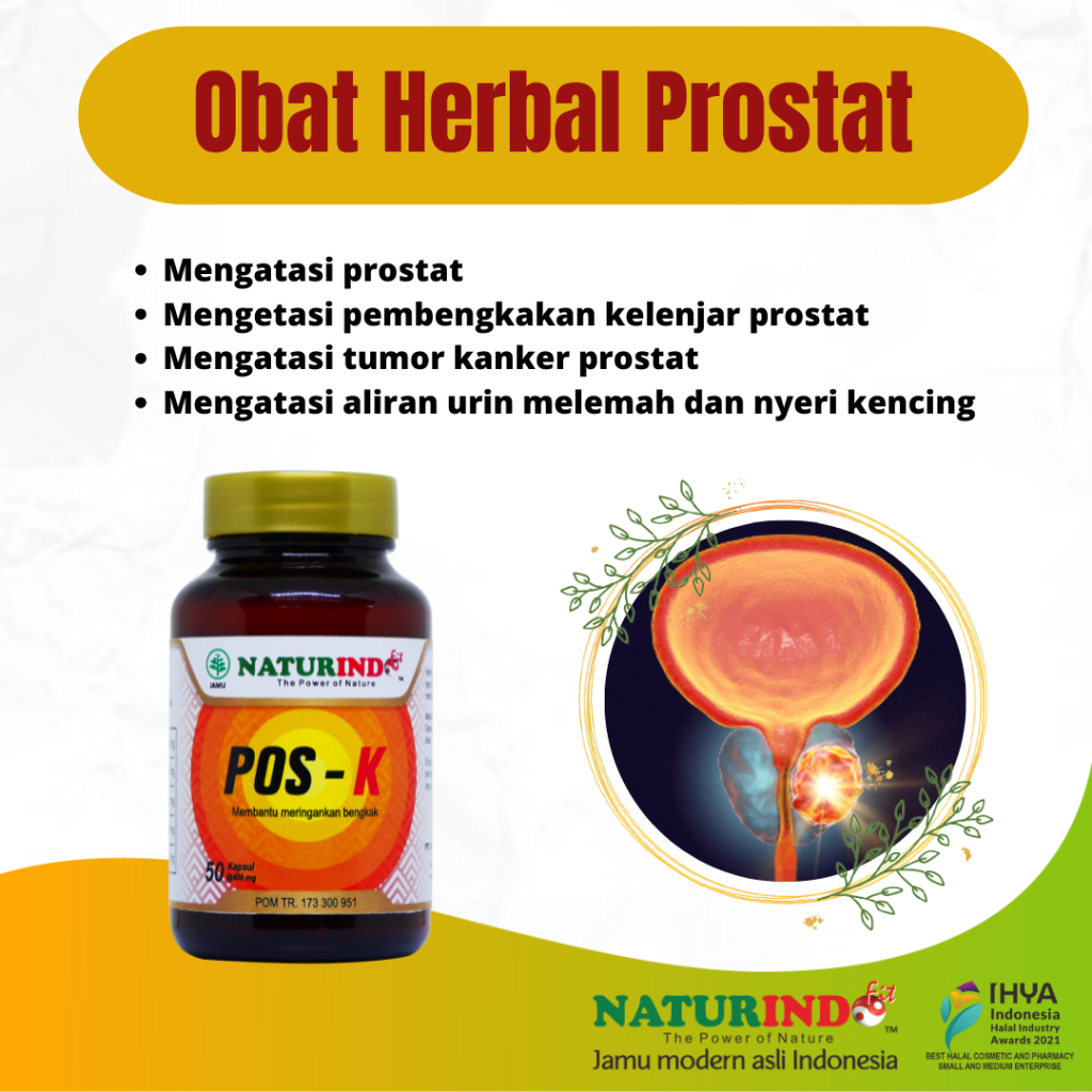 Jual Obat Herbal Prostat Bengkak Radang Pembesaran Kelenjar Prostatitis ...