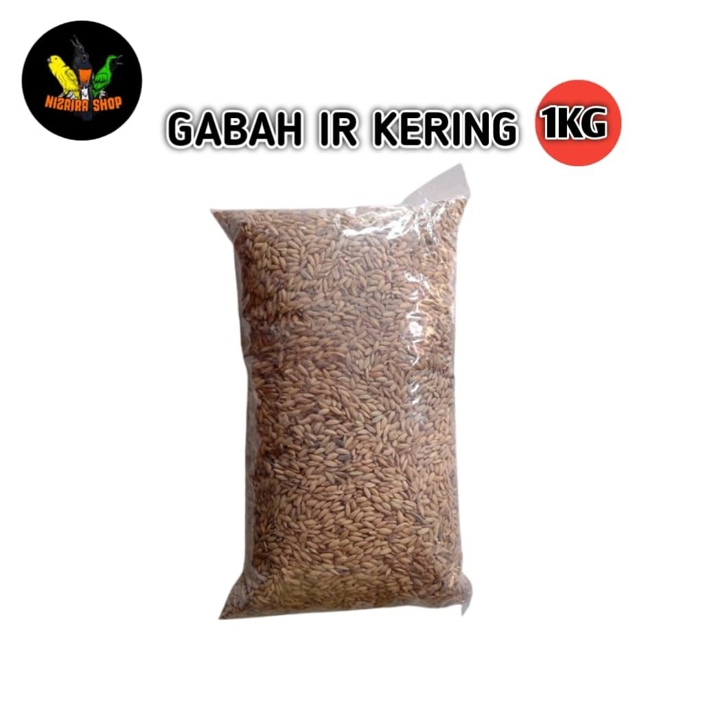 Jual GABAH PADI IR KERING Pakan Ayam dan unggas lainnya - 1 kg | Shopee ...