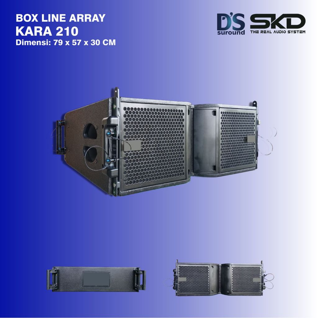 Jual BOX LINE ARRAY KARA 10 INCH DOUBLE KARA 210 | Shopee Indonesia