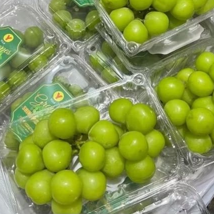 Jual Anggur Muscat cup 1/2 kg | Shopee Indonesia