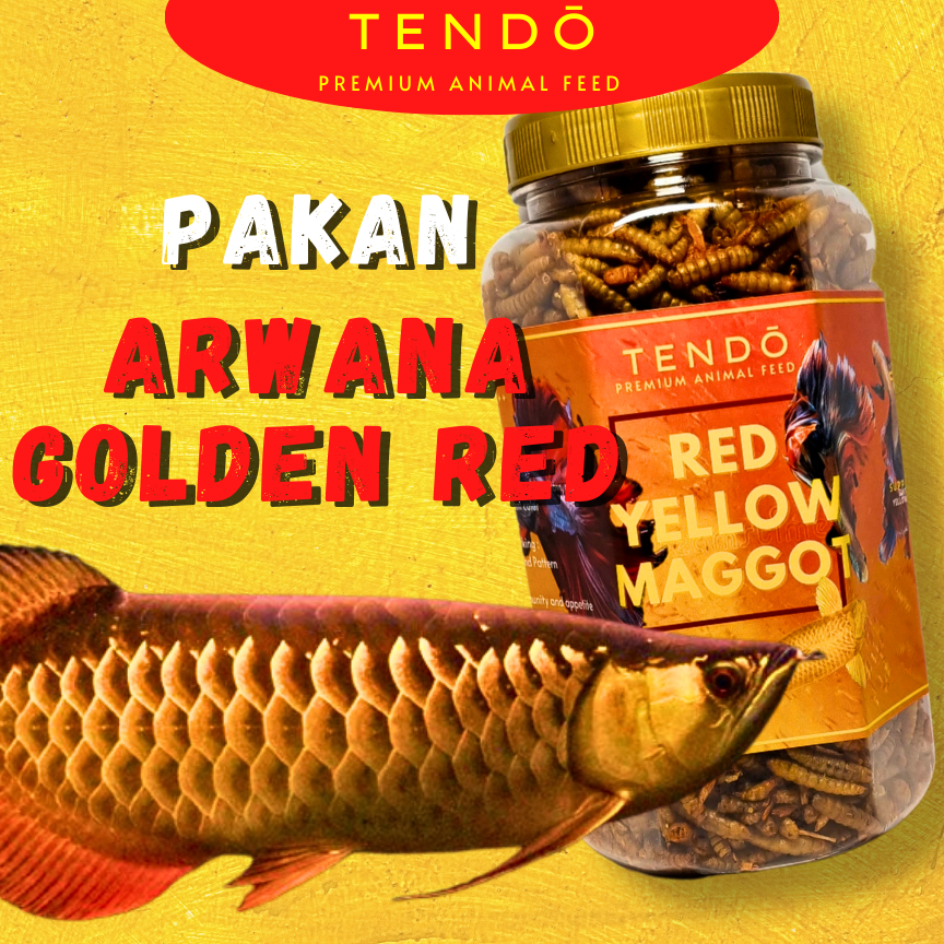 Jual Maggot & Udang Kering Arwana Golden Red – Pakan Booster Warna ...