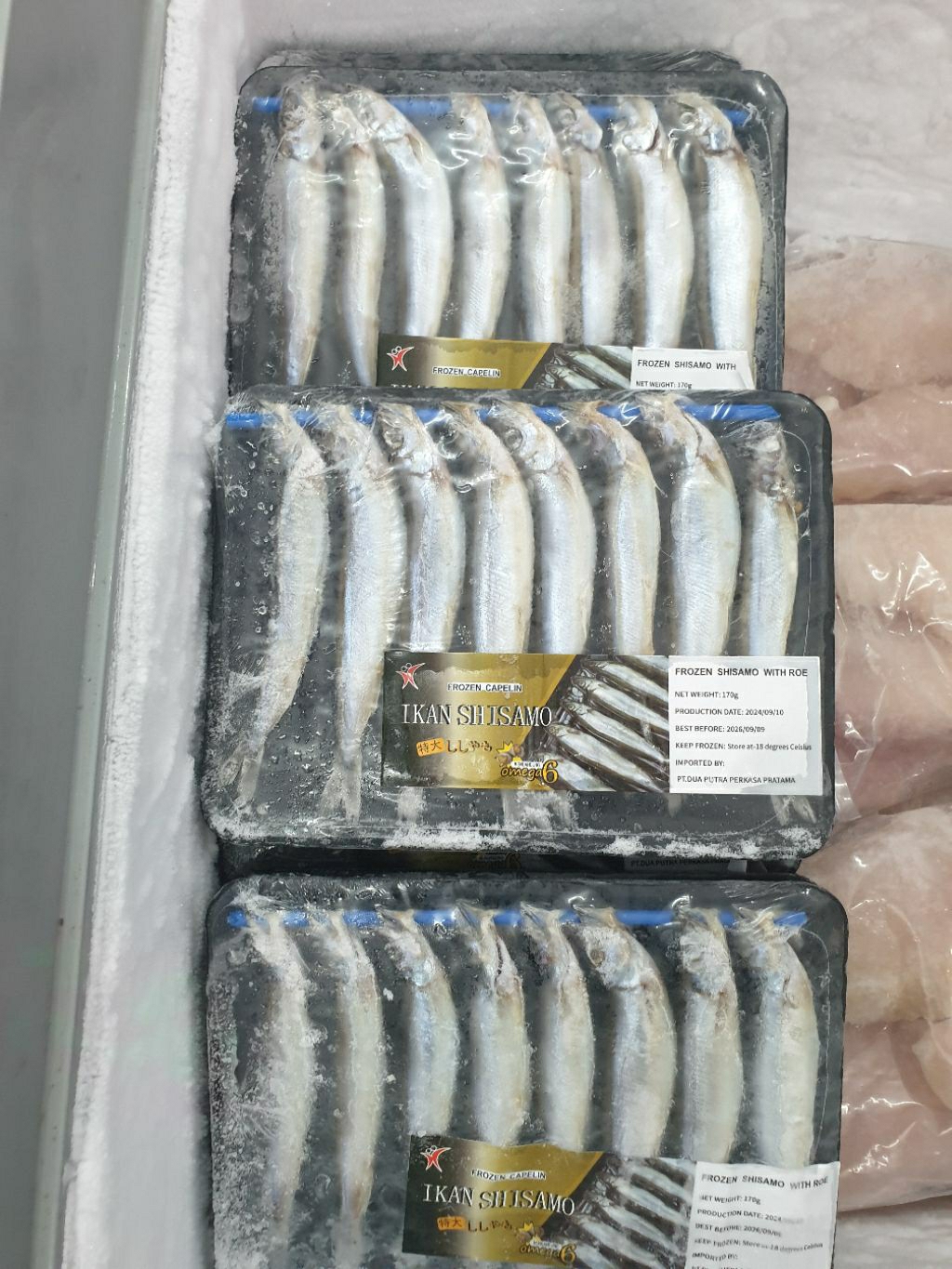 Jual Capelin Frozen Ikan Shisamo 170gr (8 pcs) | Shopee Indonesia