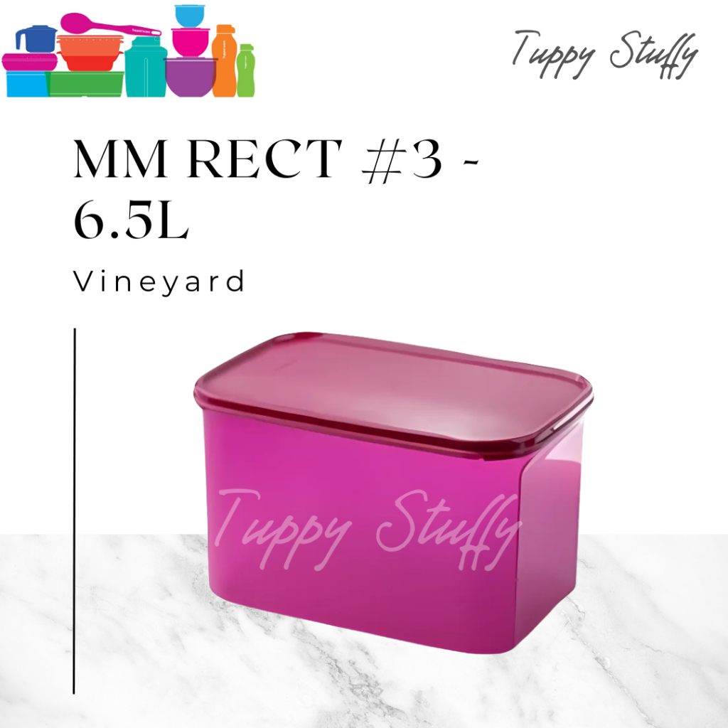 Jual Tupperware MM Rect #3 (1) - Vineyard | Toples segi 6.5L TUPPERWARE ...