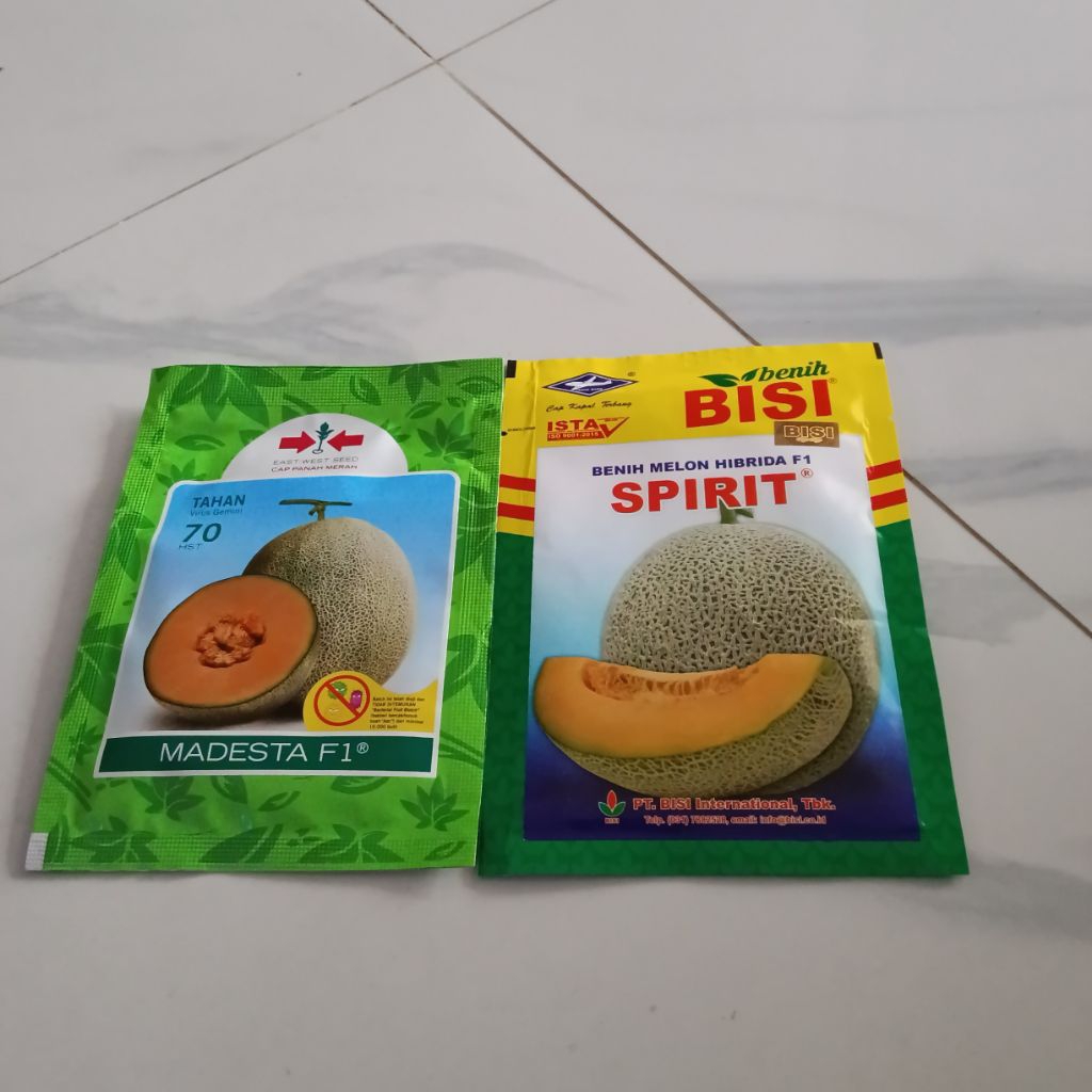 Jual Benih Bibit Melon Spirit F1 (Setipe Madesta F1), Rasa Manis, Rock ...
