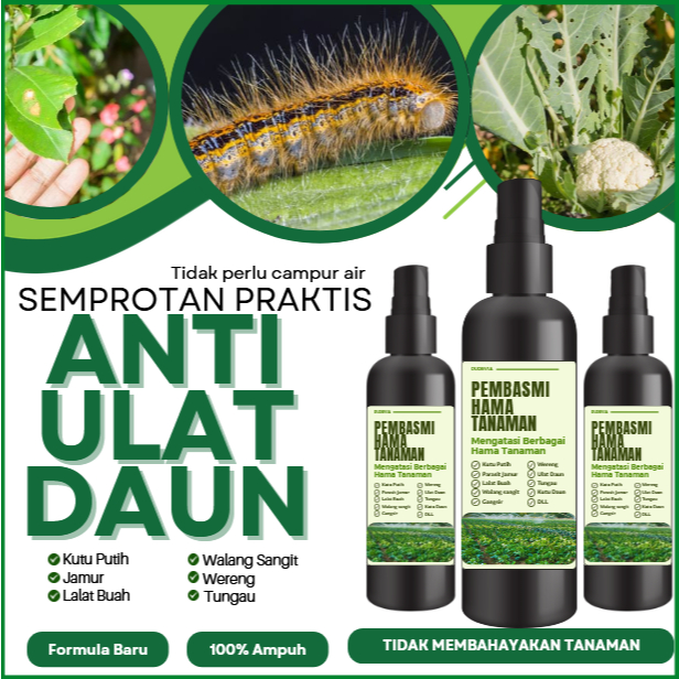 Jual PUREVIA Pembasmi Ulat Daun Hama Tanaman Kutu Putih Semut Cabai ...