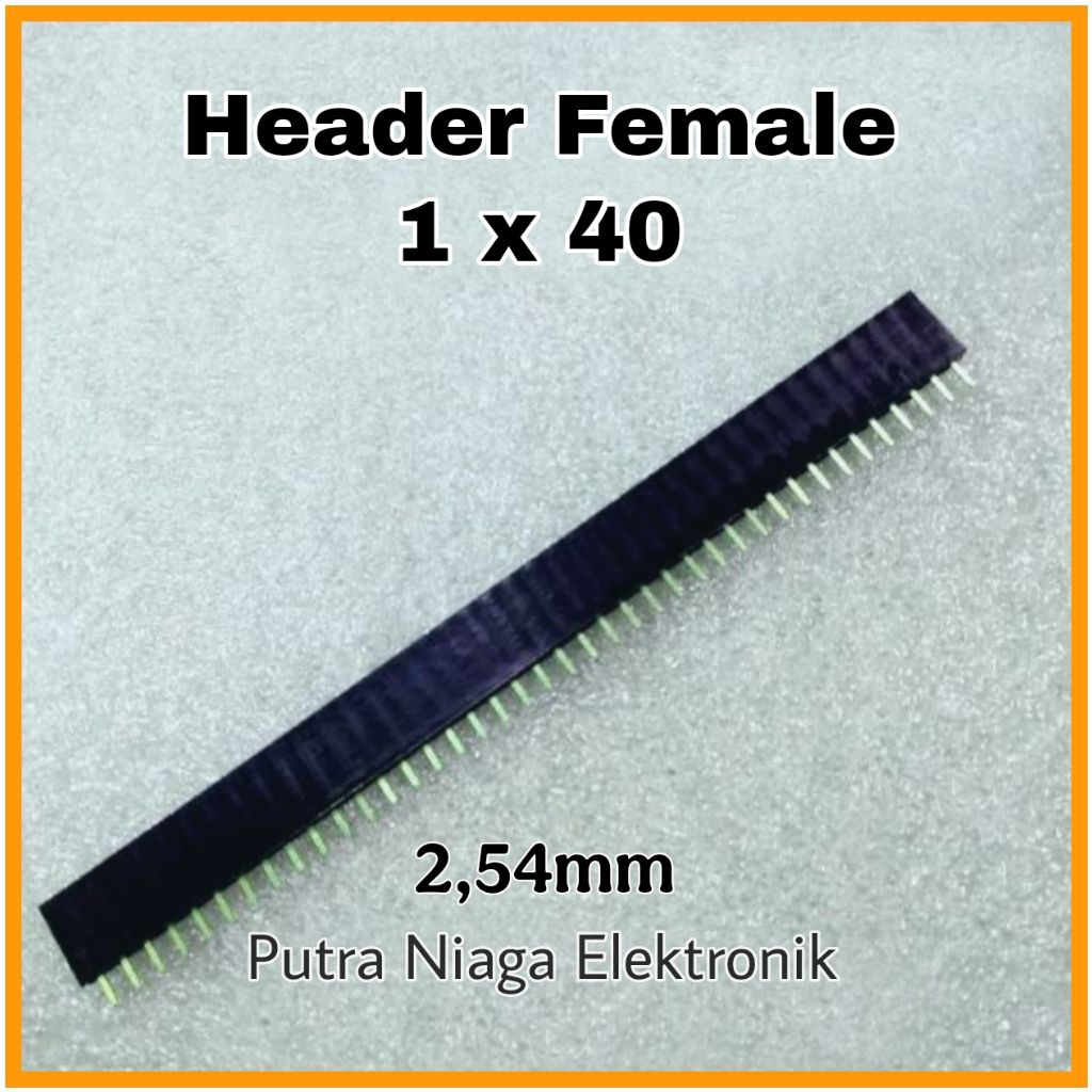 Jual Header Female Baris 1x40 Pin 2.54mm 1x40p FCP 1*40 Hitam Single ...