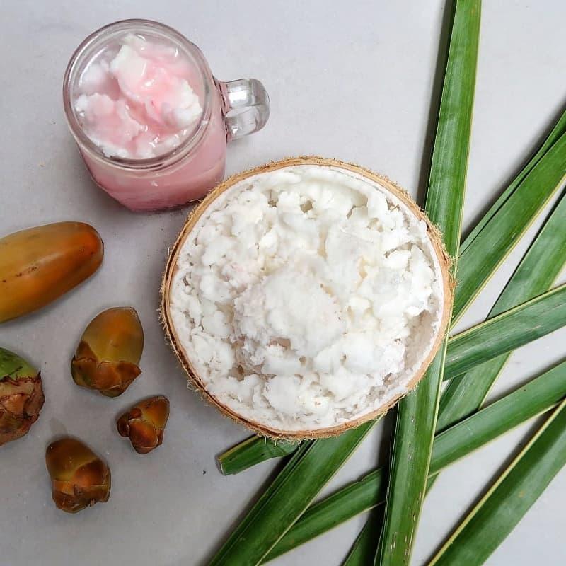 Jual Kelapa Kopyor | per butir | Shopee Indonesia
