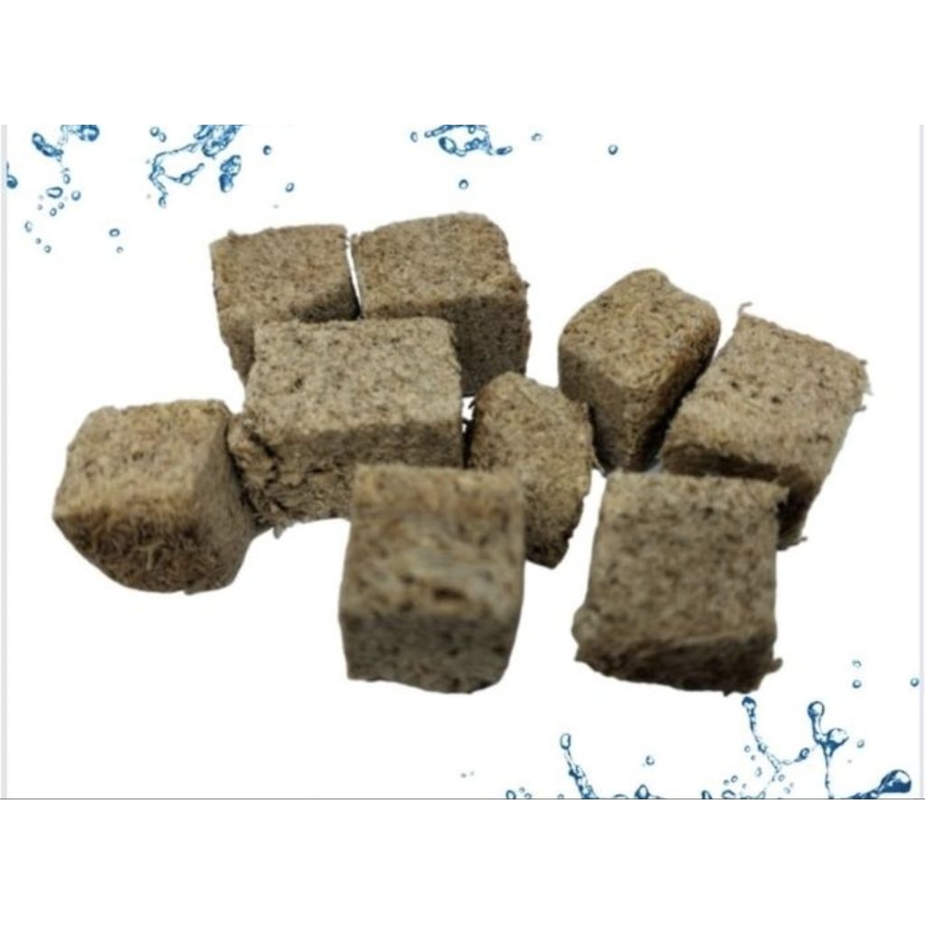 Jual pakan ikan cacing kering tubifex 5gram | Shopee Indonesia