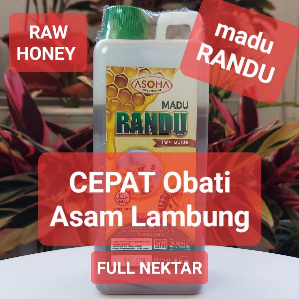 Jual ASOHA Madu Randu Asli Murni 1kg | FULL NEKTAR RANDU | RAW HONEY ...