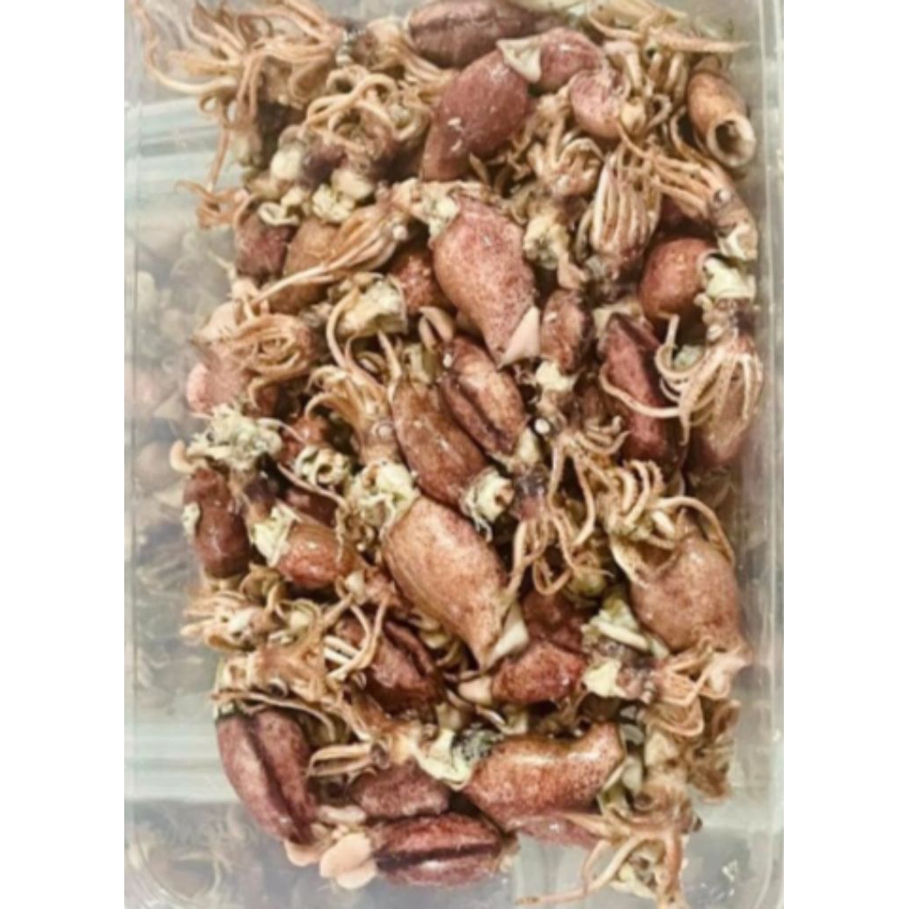 Jual cumi rebus bertelur @pack | Shopee Indonesia