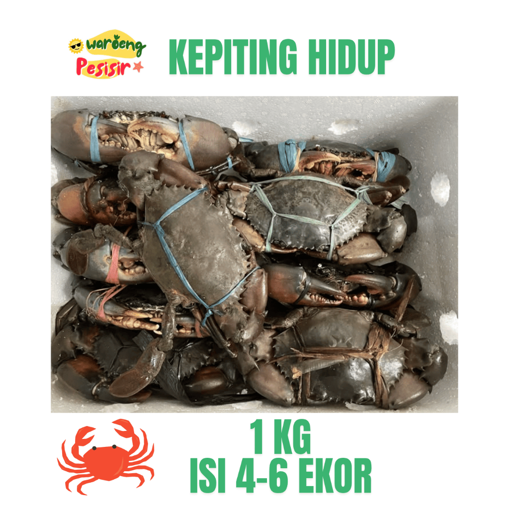 Jual KEPITING SEGAR HIDUP – DIJUAL PER KILOGRAM ( ISI 4-6 EKOR/KG ...