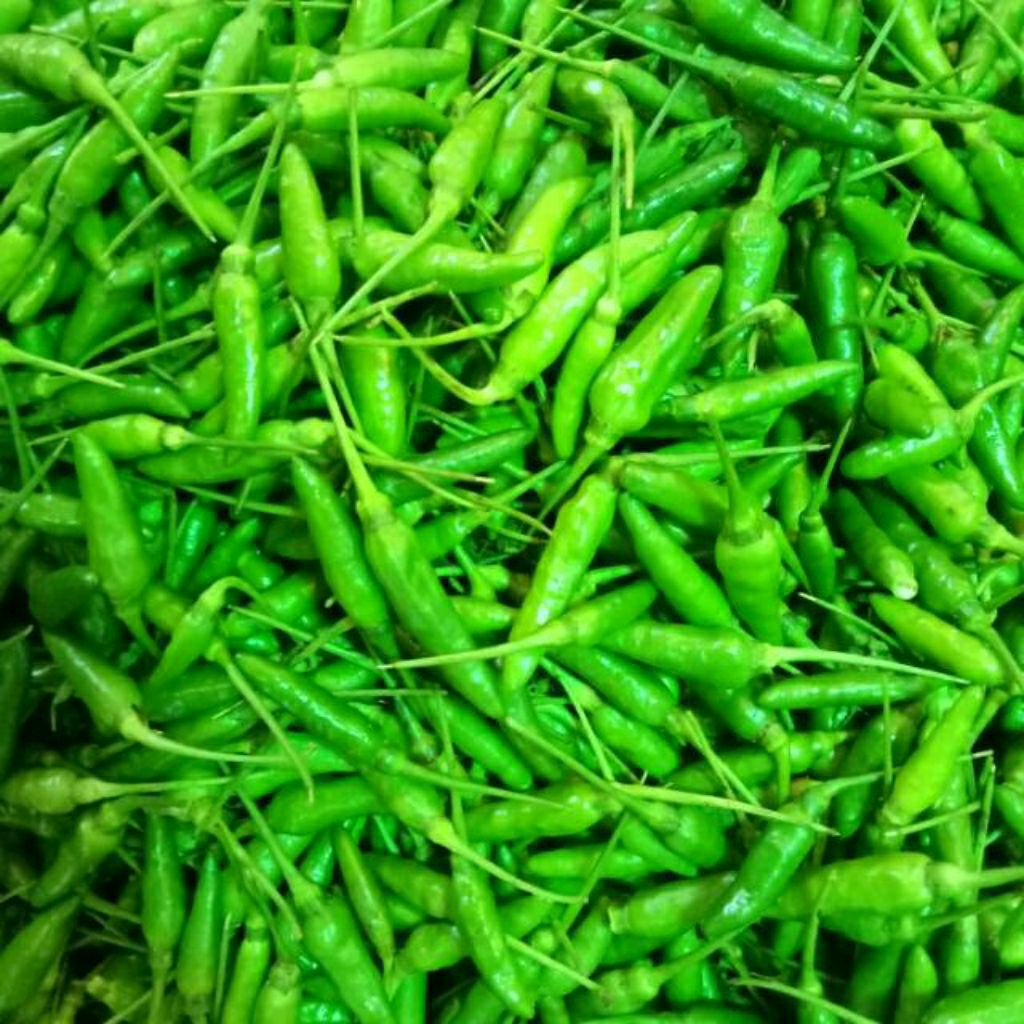 Jual Cabai cabe rawit hijau segar | Shopee Indonesia