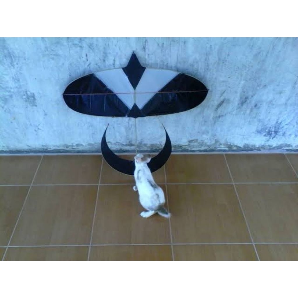 Jual layangan bulan sabit,ukuran 60cm(free gift random) | Shopee Indonesia