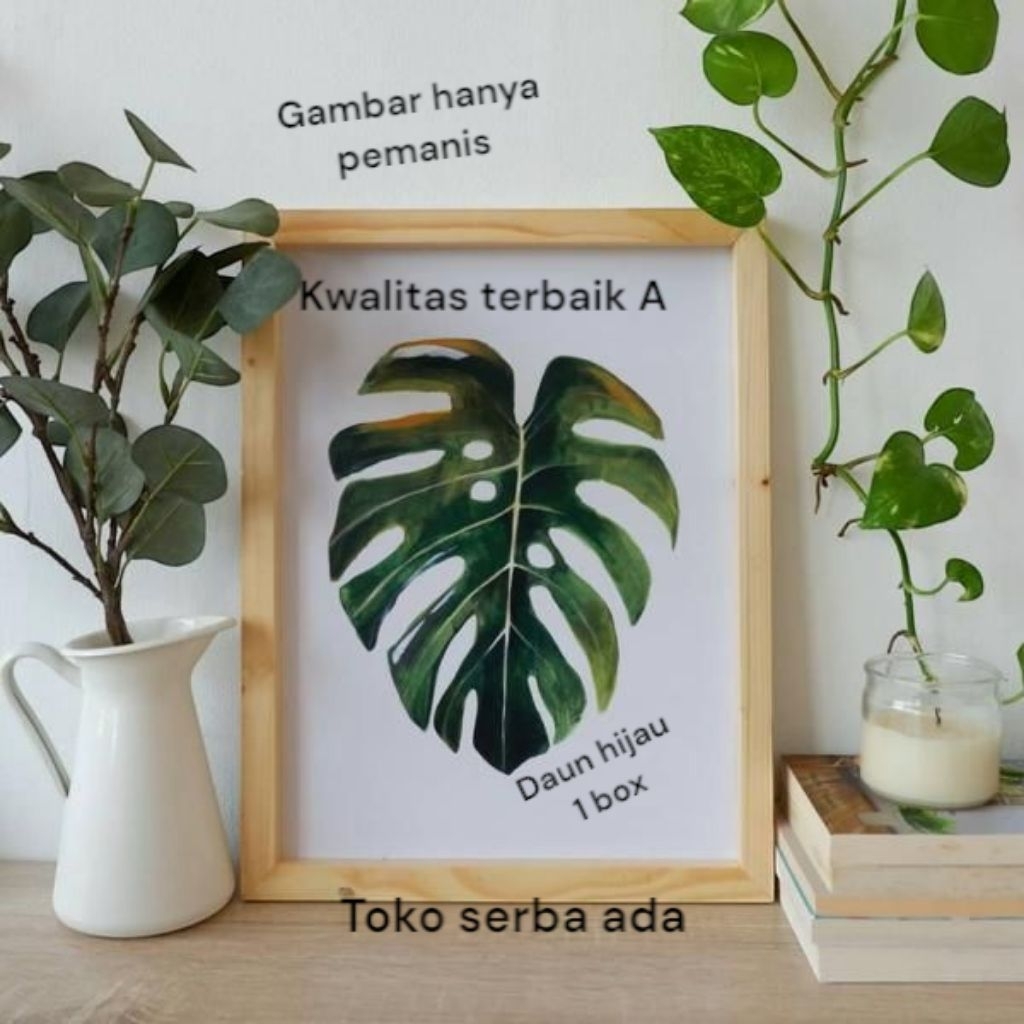 Jual gambar daun hijau produk toko serba ada | Shopee Indonesia