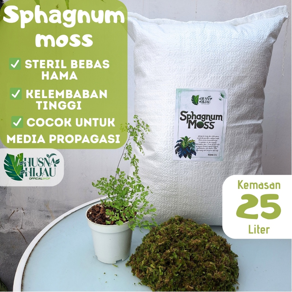 Jual Sphagnum moss, kemasan 25 liter – lumut hidup dari hutan pinus ...