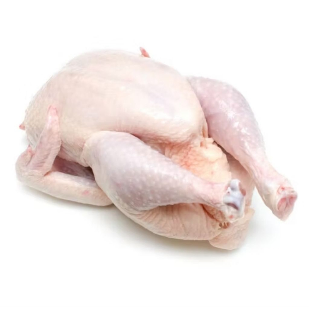 Jual Daftar Harga Ayam Broiler Terlengkap & Harga Terbaru Mei 2026 ...