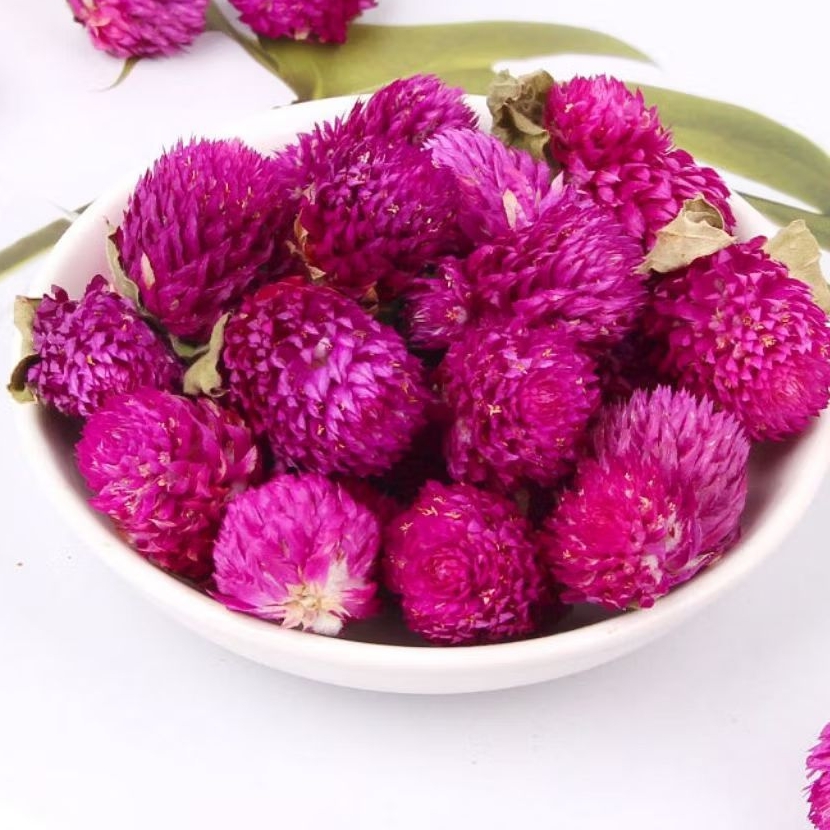 Jual Teh Bunga Globe Amaranth 10 Gram bunga kenop 10gr | Shopee Indonesia