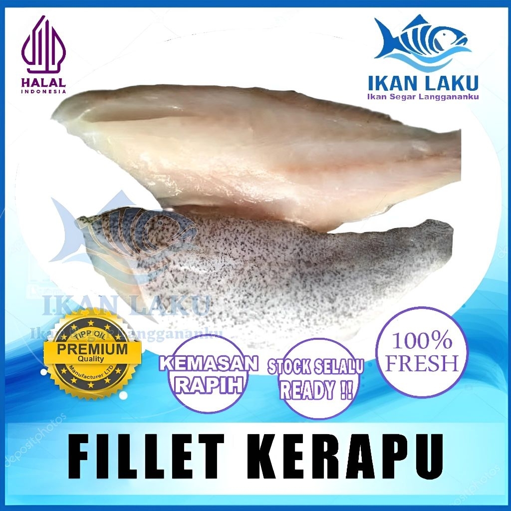 Jual Fillet Ikan Kerapu Fresh 1kg – Tanpa Tulang Dan Duri Premium ...