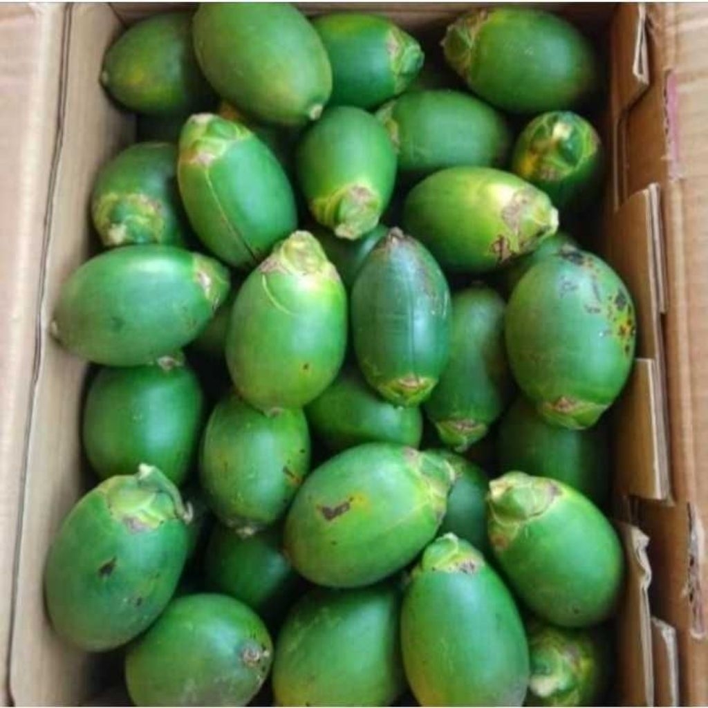 Jual Pinang Muda Segar Baru petik isi 20 | Shopee Indonesia
