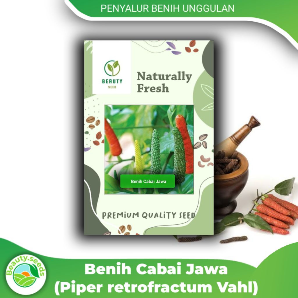 Jual 10 Butir Benih Cabe jawa Herbal - Cabe jawa / Lombok Jawa (Piper ...