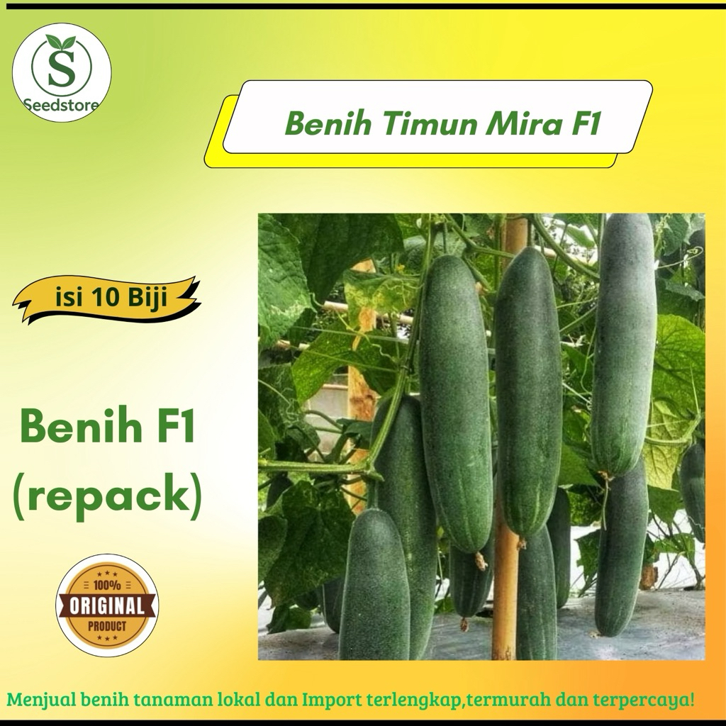 Jual isi 10 Biji - Benih Timun MIRA F1 - Idola petani timun Indonesia ...