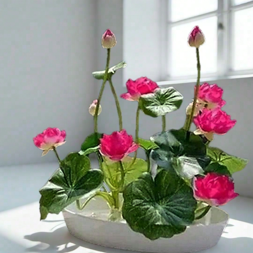 Jual TRISUCI SEEDS - Biji Benih Lotus Mini Bunga Teratai Varian Warna ...