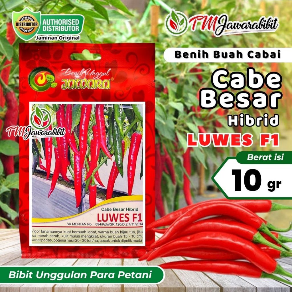 Jual BENIH/BIBIT CABE BESAR HIBRID LUWES F1 isi 10 gram || Produk Asli ...