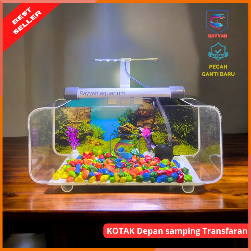 Jual 1 Set lengkap aquarium JUMBO kotak depan samping transfaran ...