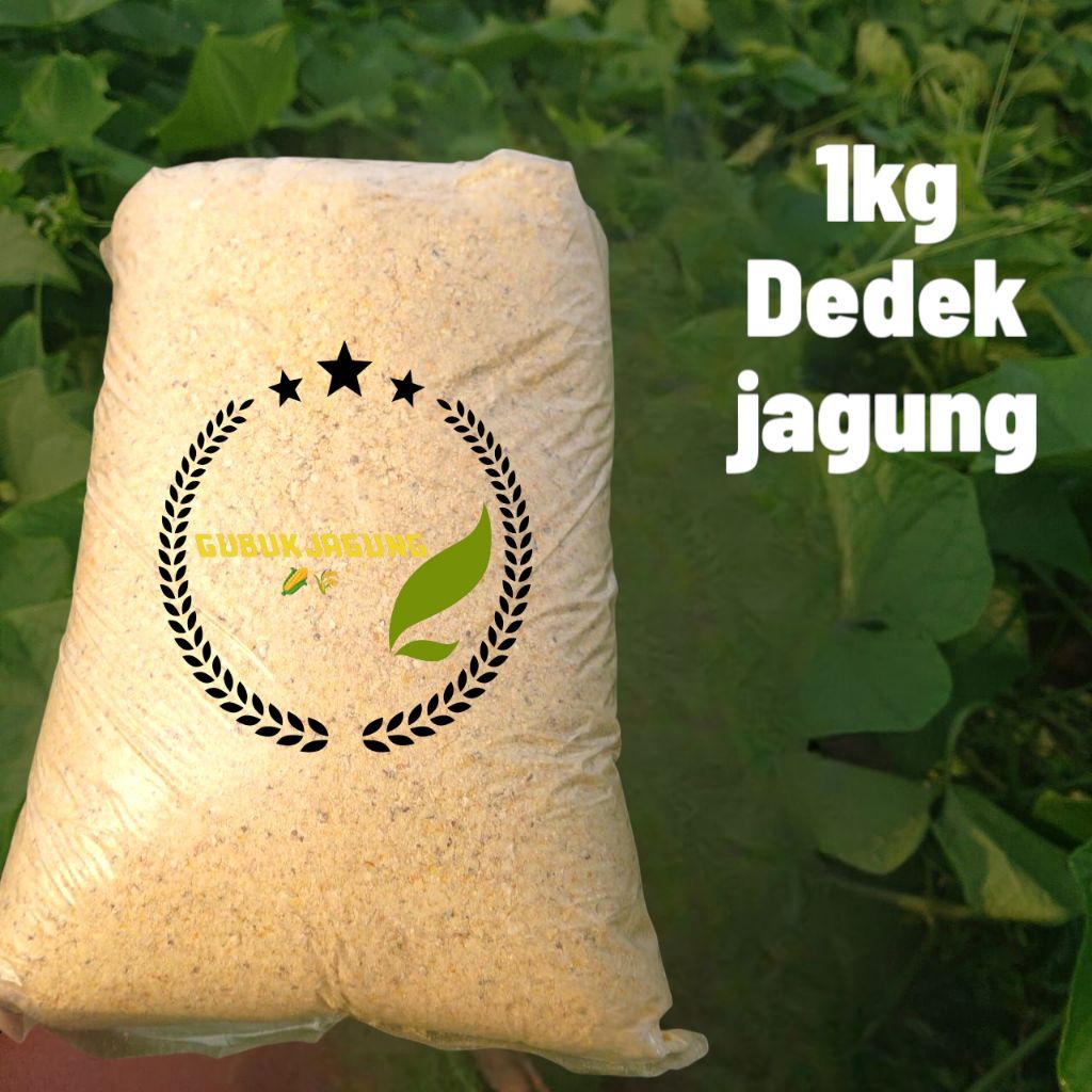 Jual 1KG DEDEK JAGUNG /BEKATUL/KATUL UNTUK PAKAN AYAM 100 % PRODUKSI ...