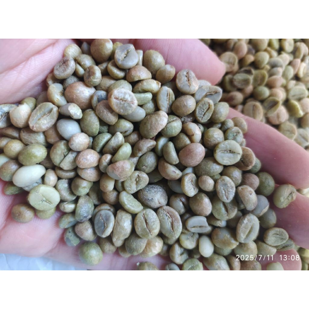 Jual Green Bean Robusta Temanggung 1 kg | Shopee Indonesia