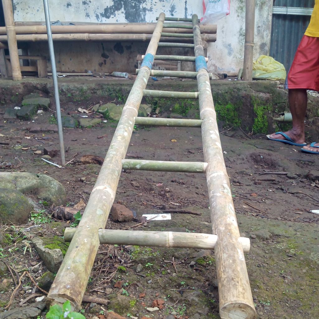 Jual Tangga bambu praktis 1,5 Meter (bisa disambung kelipatan 1,5 meter ...
