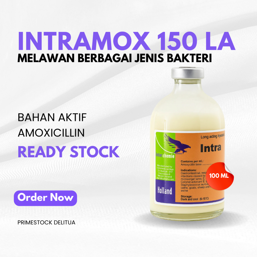 Jual INTRAMOX 150 LA 100 ml - Obat Antibiotik Hewan Long Acting ...