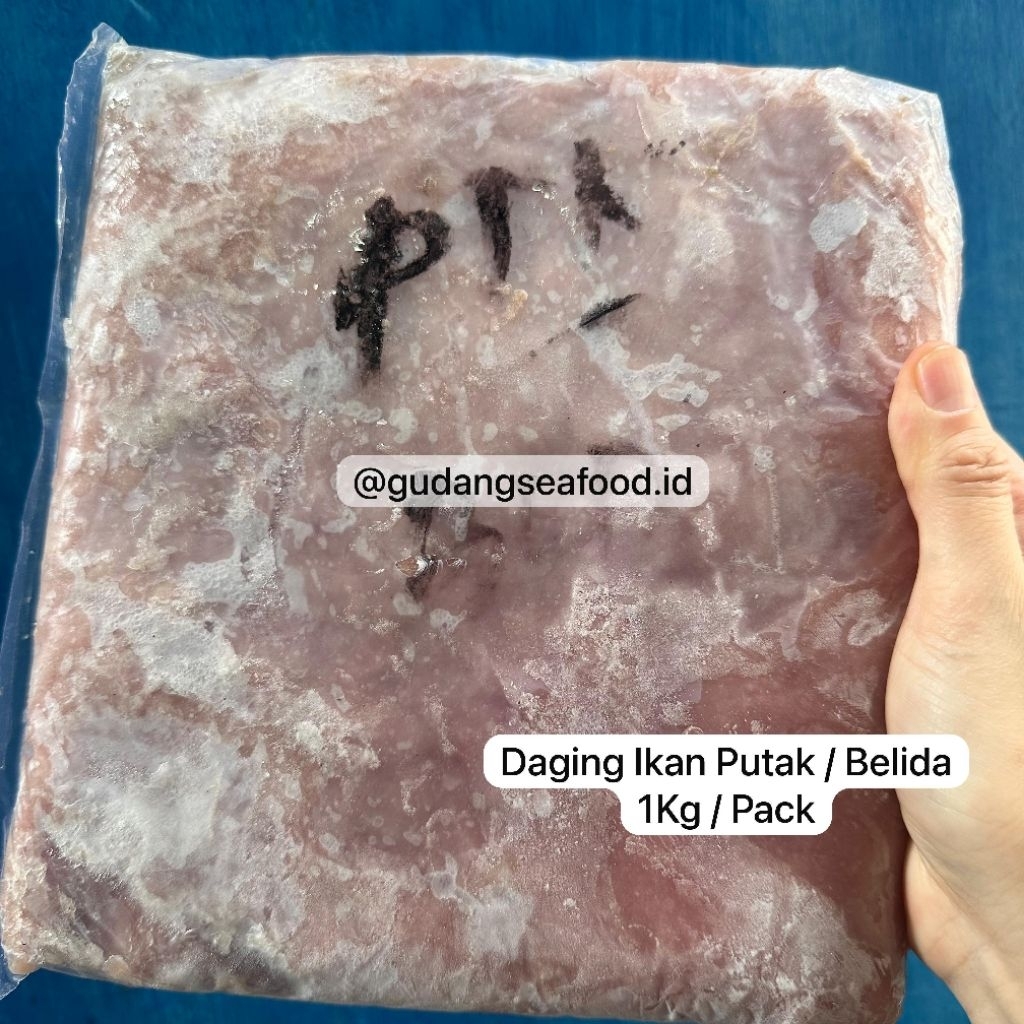 Jual Daging ikan putak / belida 1kg / pack | Shopee Indonesia