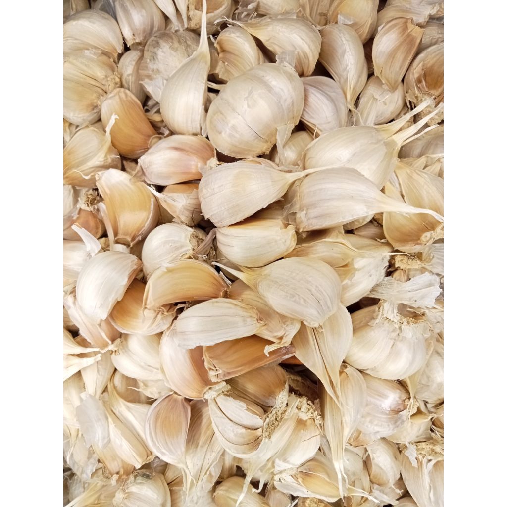 Jual BAWANG KATING KEMASAN 200g | Shopee Indonesia