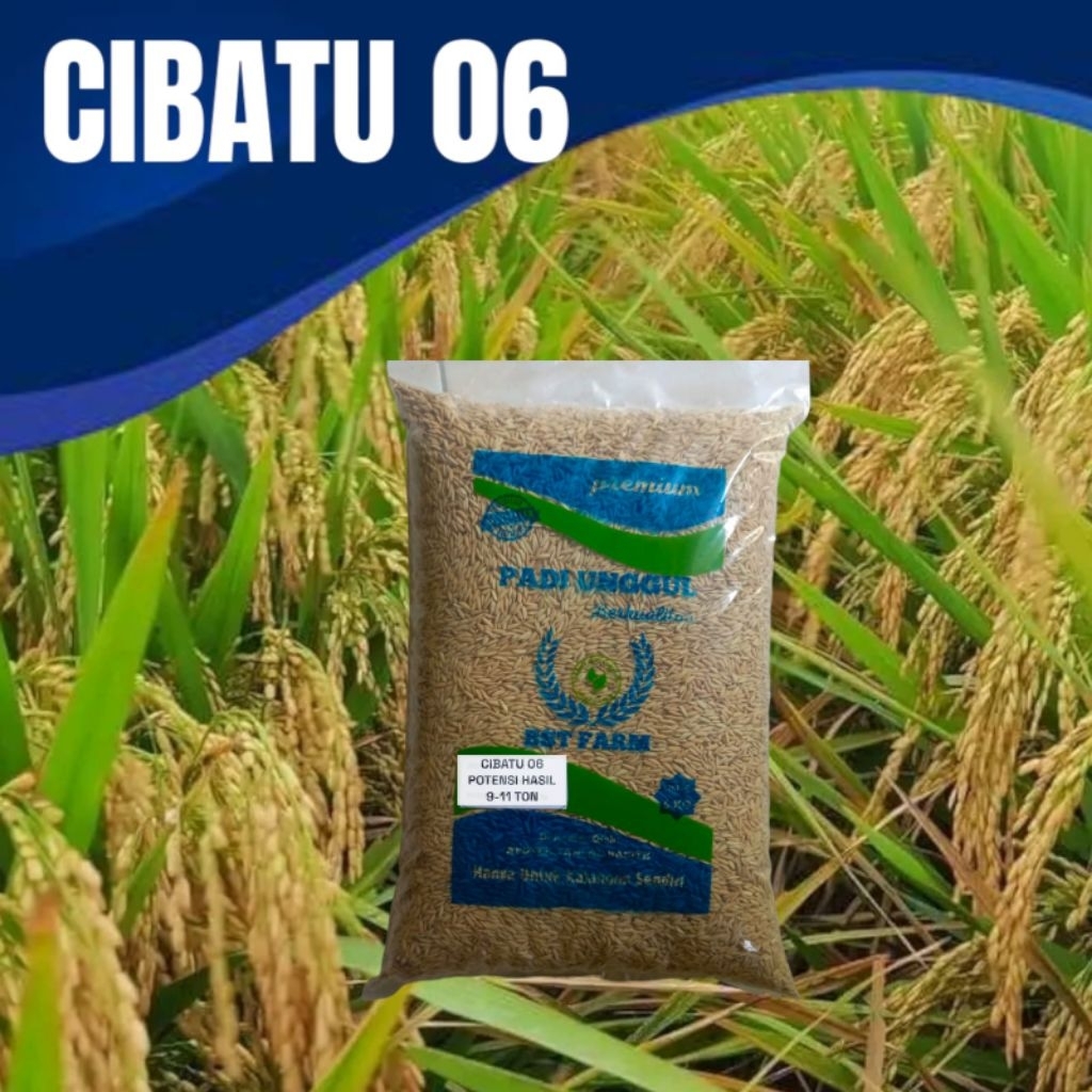 Jual BENIH PADI CIBATU 06 KUALITAS PREMIUM ORIGINAL KEMASAN 5 KG ...