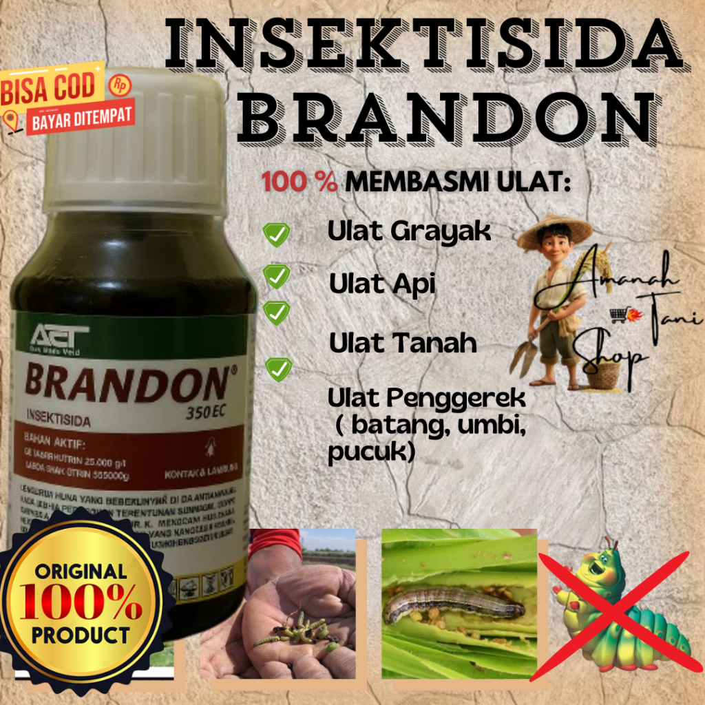 Jual Racun Ulat Paling Lengkap! Brandon Insektisida 3 Bahan Aktif Untuk ...