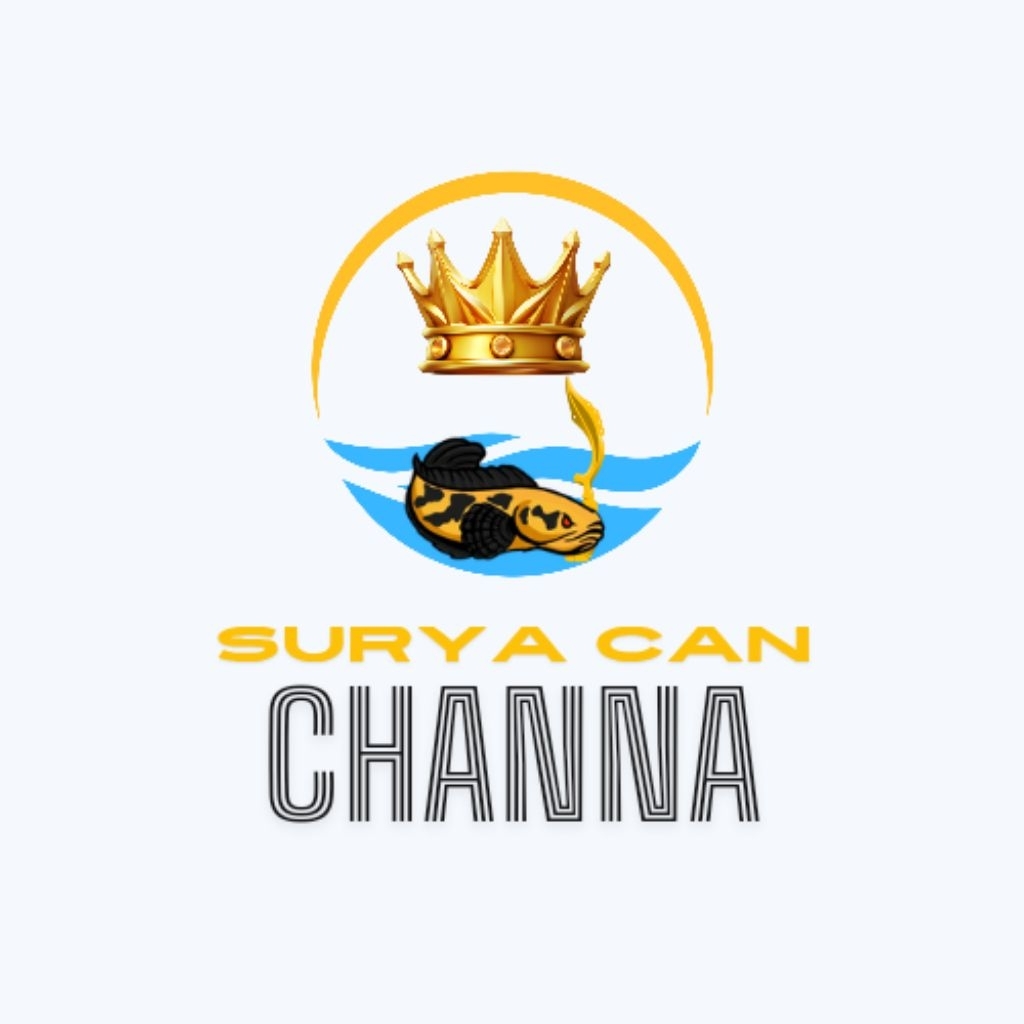 Jual Stiker Asiatika RS WS Progres | Shopee Indonesia