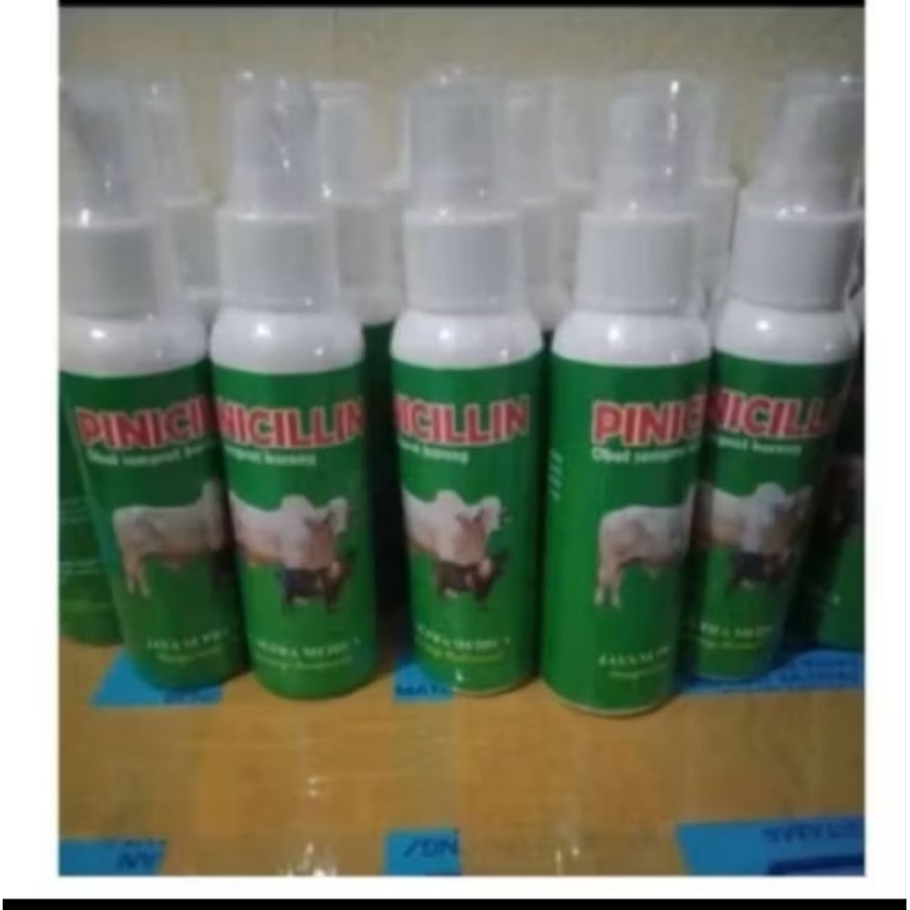 Jual PINICILIN SPRAY OBAT HEWAN TERNAK YANG MENGALAMI GANGGUAN JAMUR ...