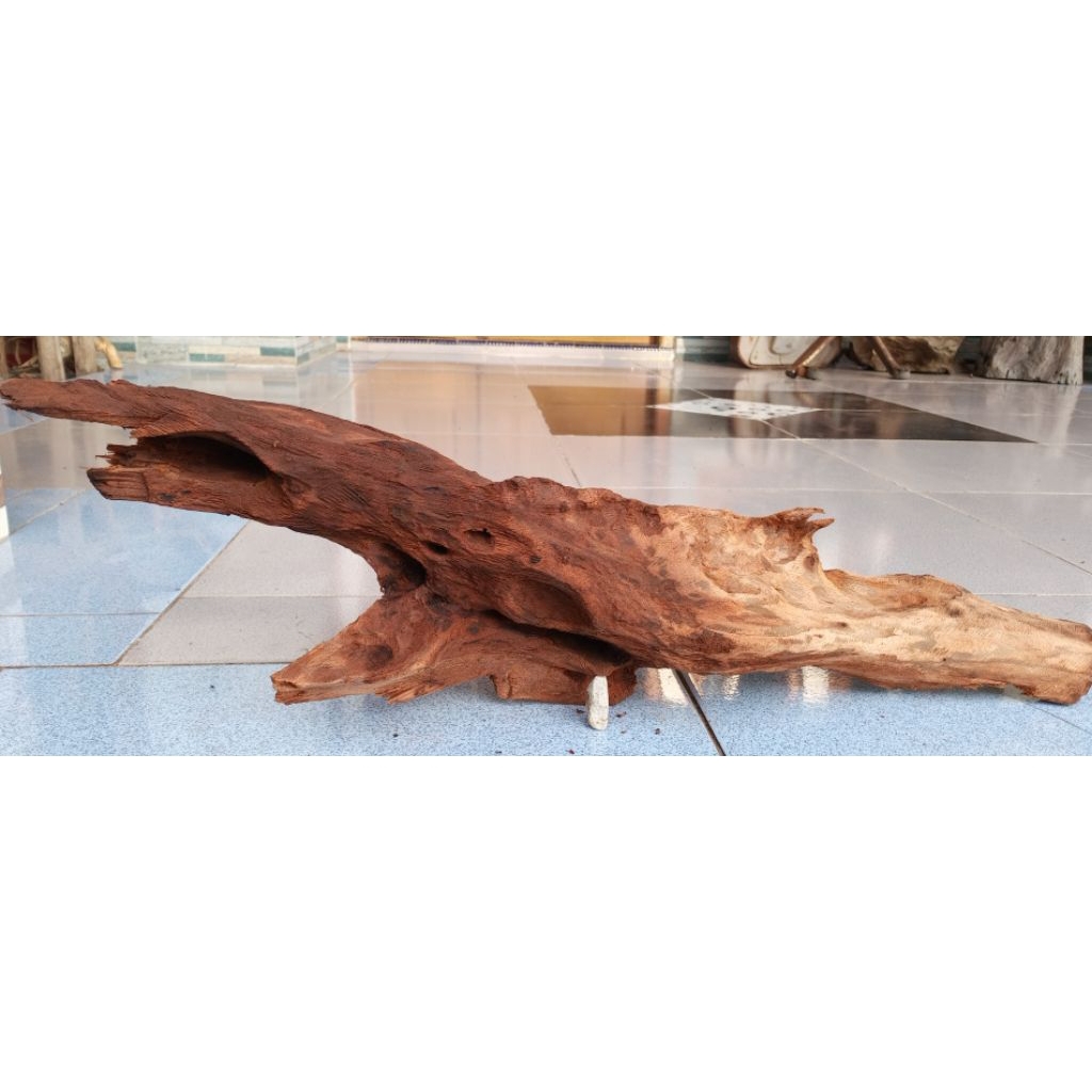 Jual kayu rentek dekorasi akuarium.puldarium pul tengelam | Shopee ...