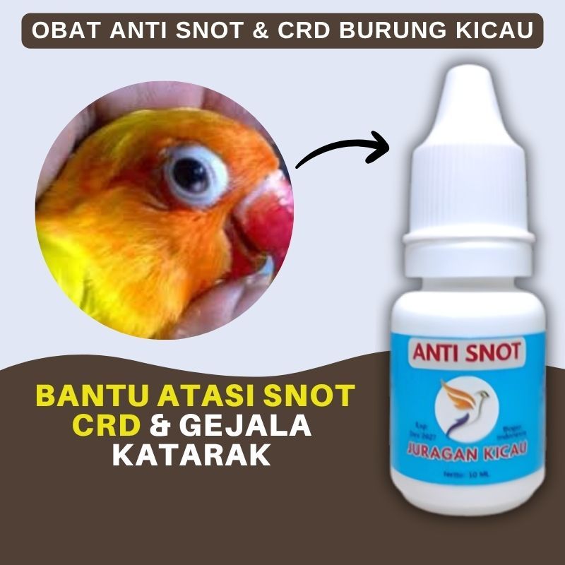 Jual Obat Anti Snot Dan CRD Burung Kicau Original Kenari Murai Batu ...