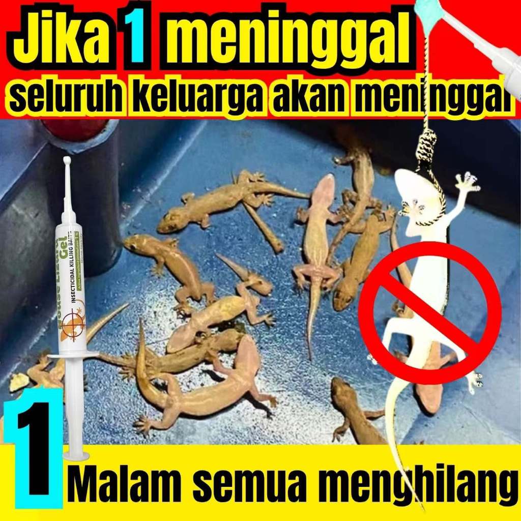 Jual Obat racun cicak pengusir cicak ampuh pembasmi kecoa paling ampuh ...