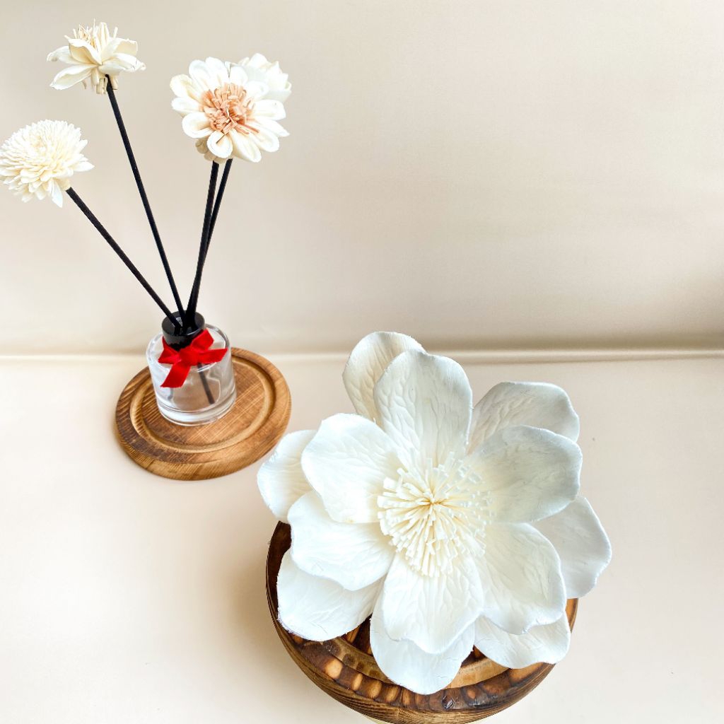 Jual Sola Flower Natural 13 Cm KUALITAS PREMIUM BUNGA DIFFUSER | Shopee ...